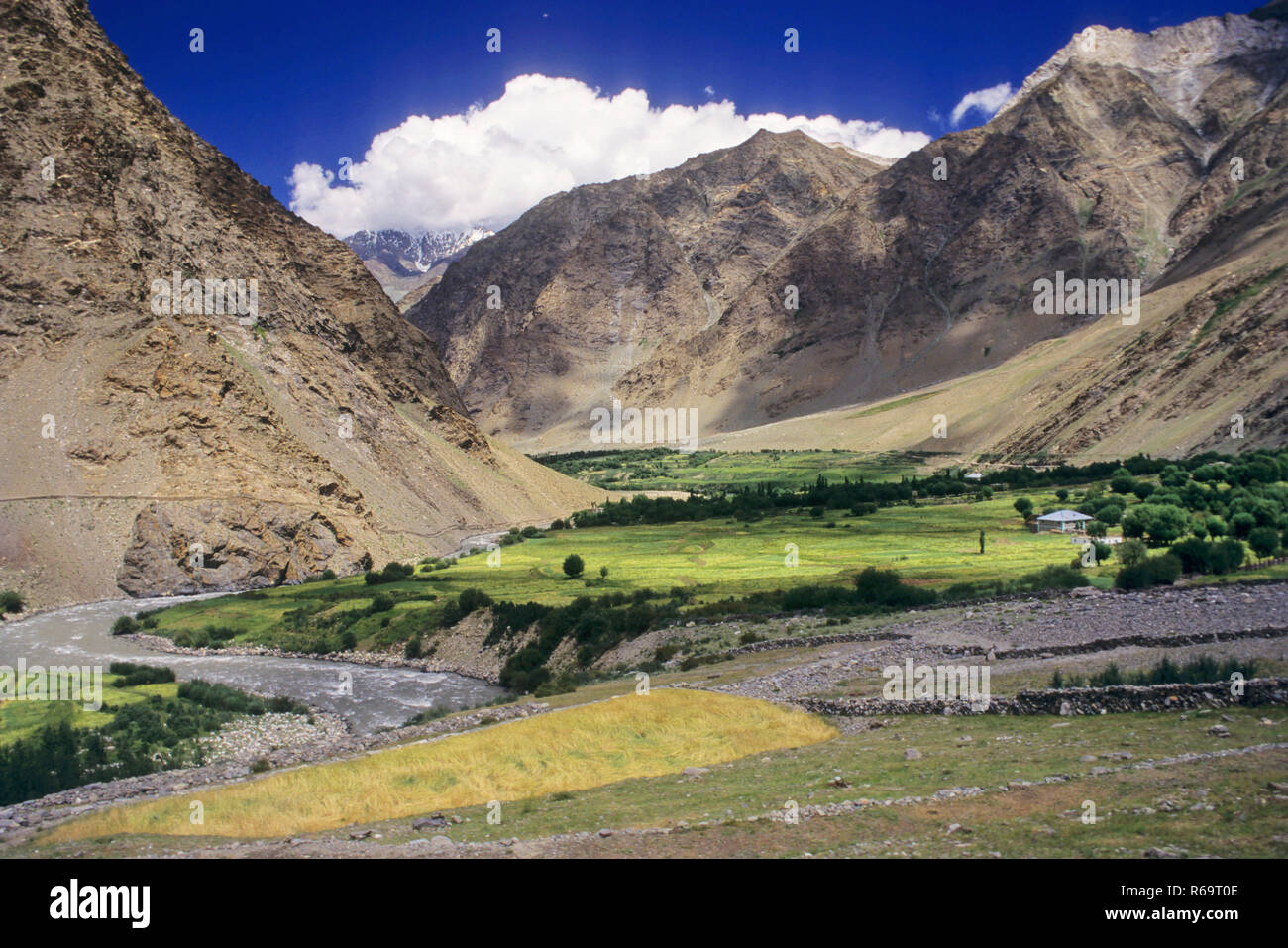 Suru Valley, Ladakh, Jammu & Kashmir, India Stock Photo - Alamy