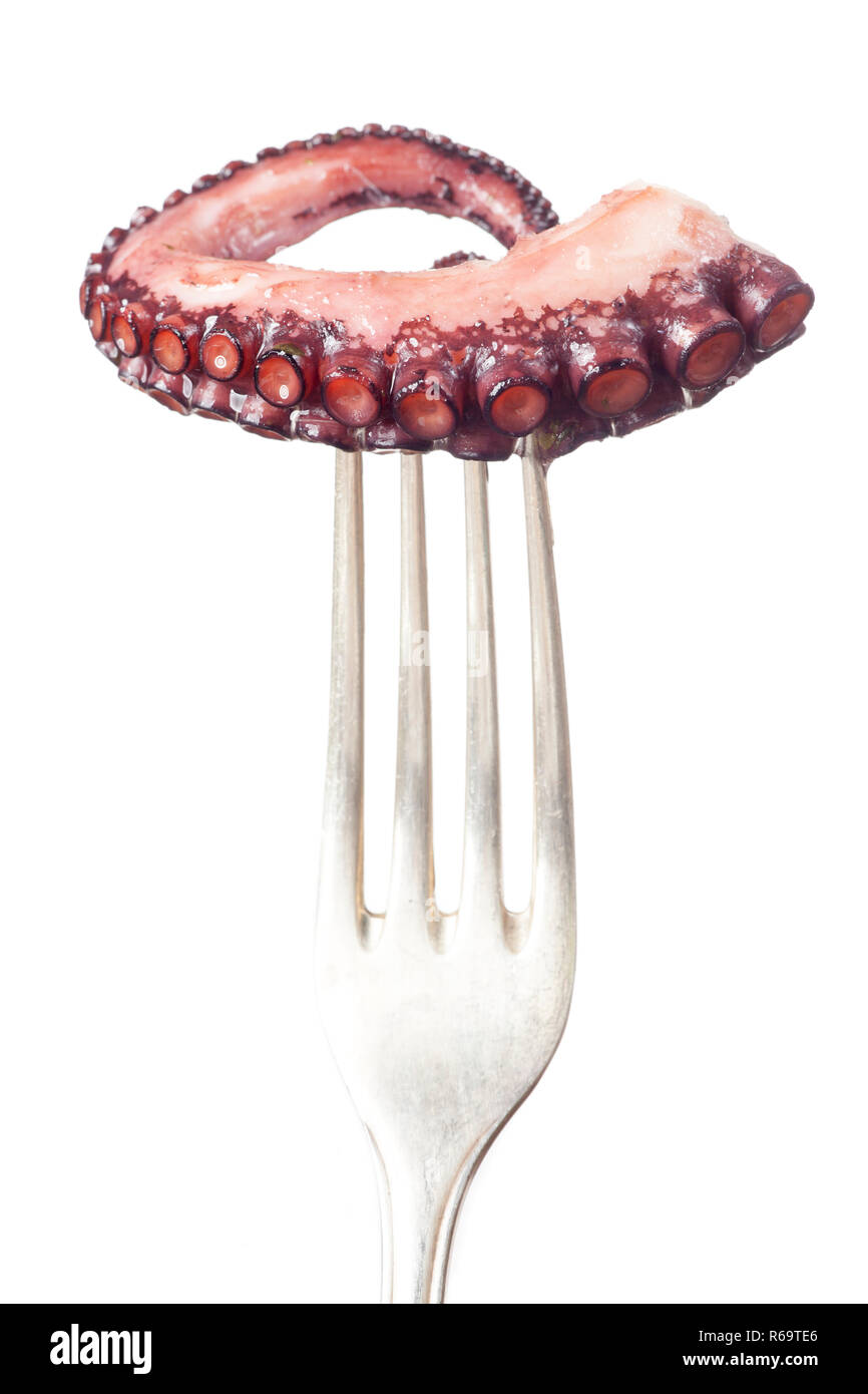 Fresh Octopus Leg Stock Photo - Alamy