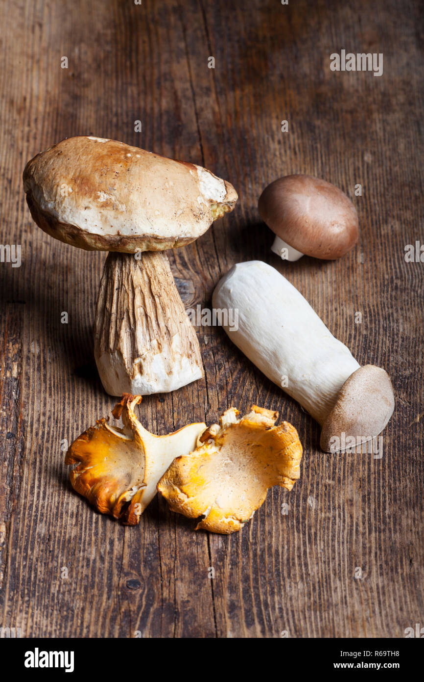 Verschiedene pilze hi-res stock photography and images - Alamy