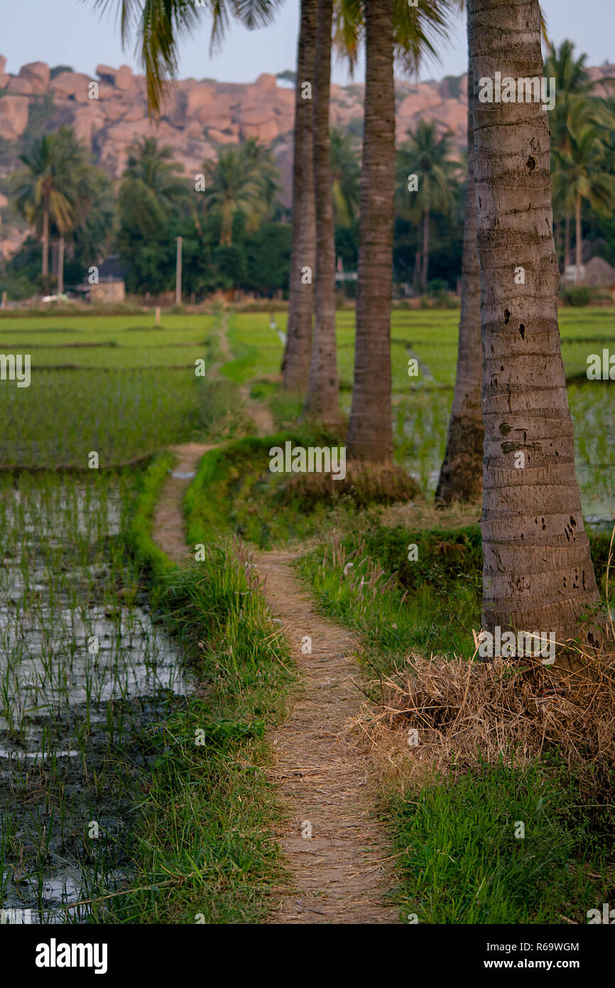 Trodden hi-res stock photography and images - Alamy