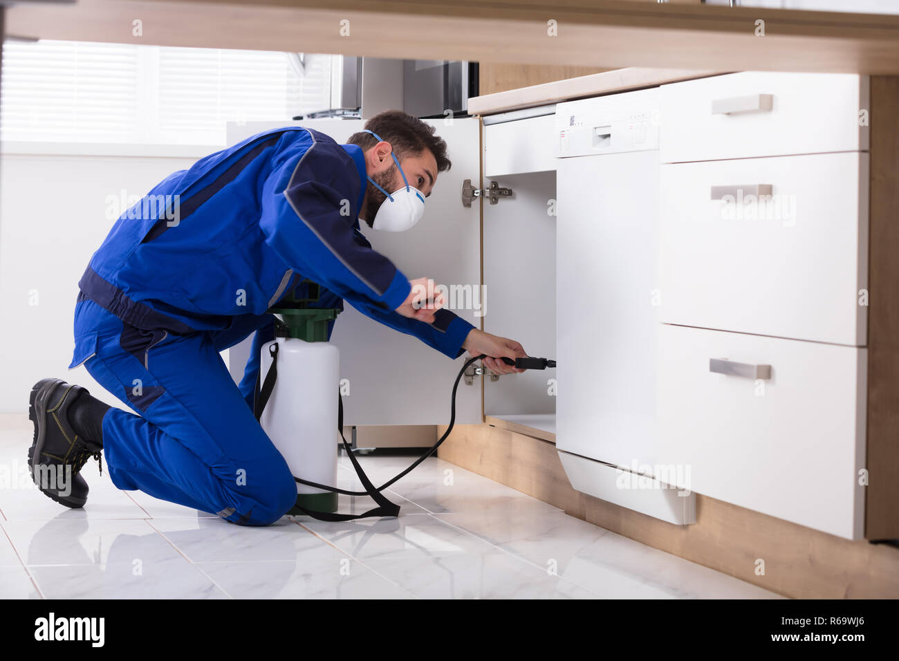 Man Spraying Pesticide In Kitchen Stock Photo - Alamy