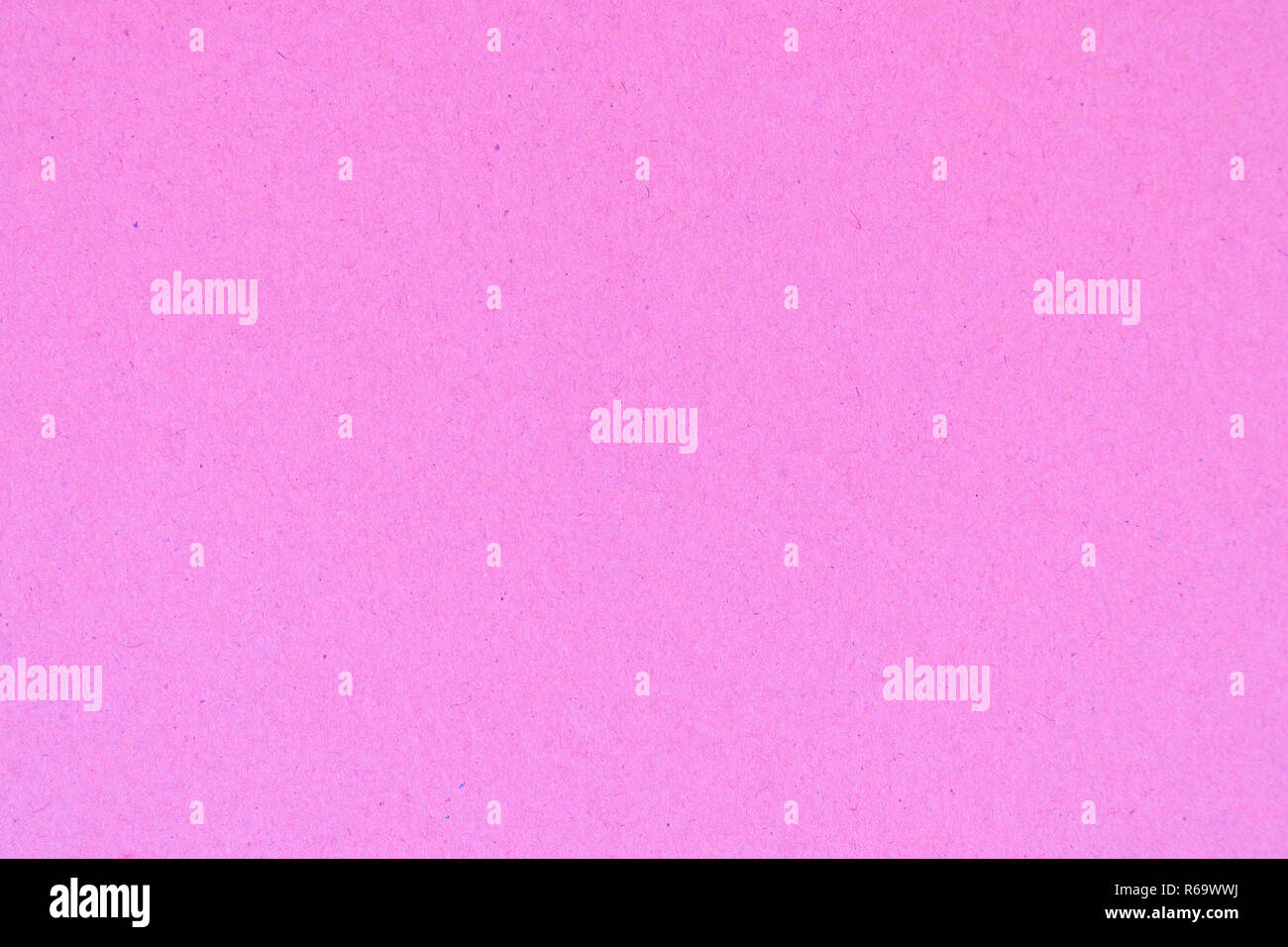 Plain Pastel Pink Wallpaper
