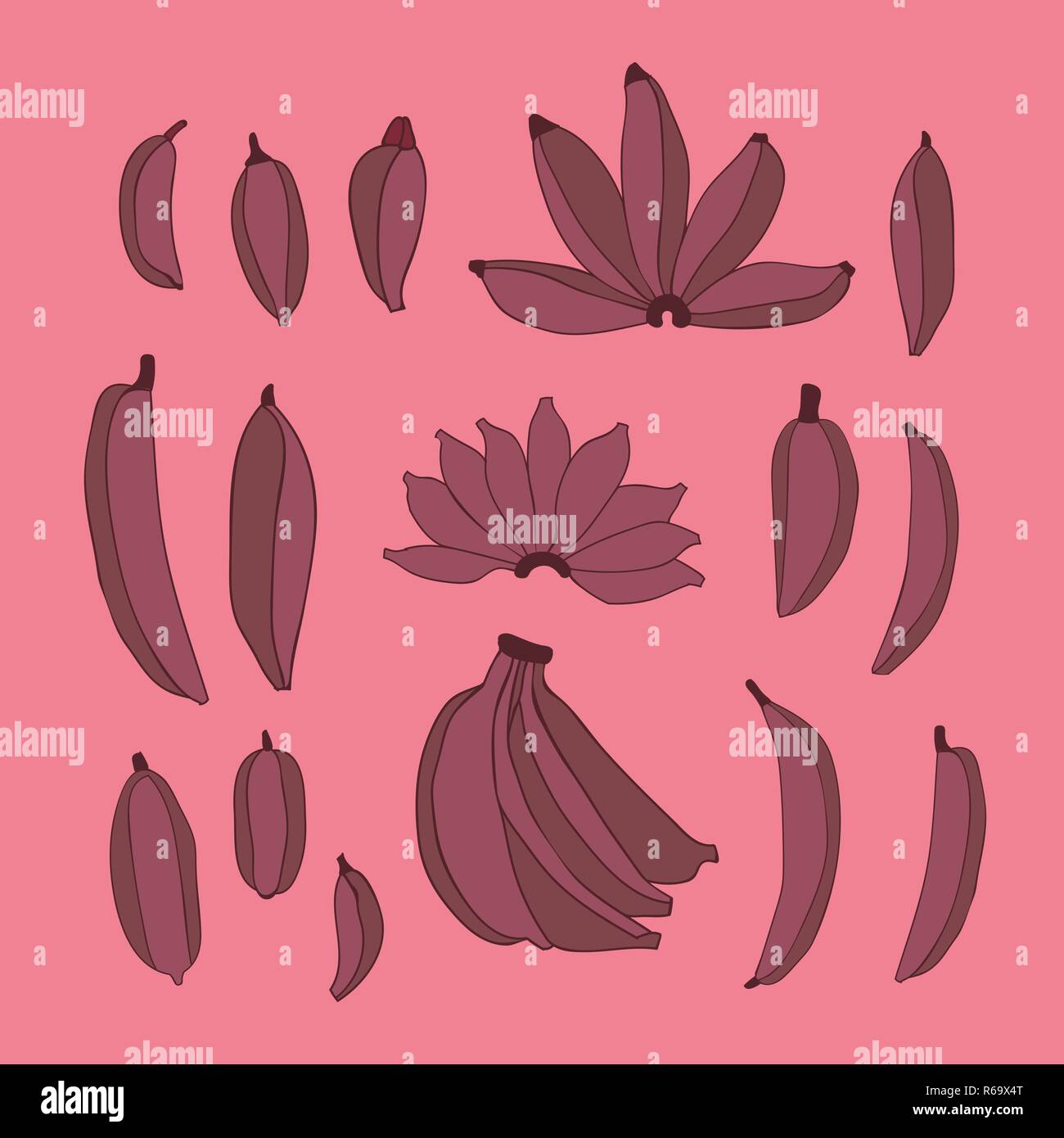 Delicious hand drawn food Red color bananas set isolated on pink ...