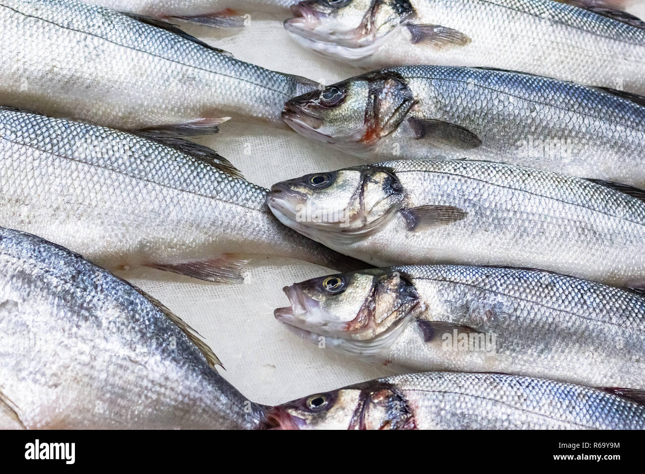 fresh russian fish 5 Stock Photo - Alamy