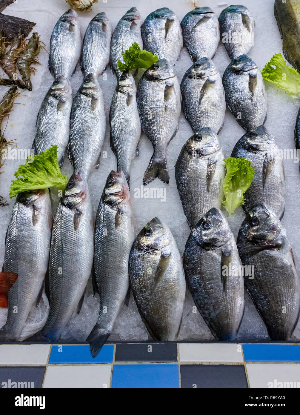 fresh russian fish 7 Stock Photo - Alamy
