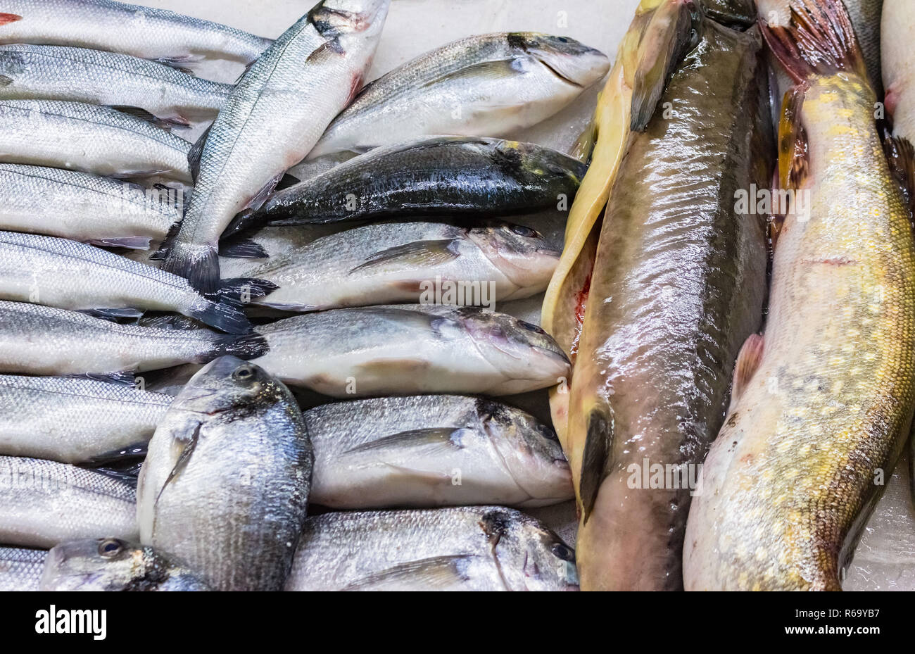 The 14 the wild bunch hi-res stock photography and images - Alamy