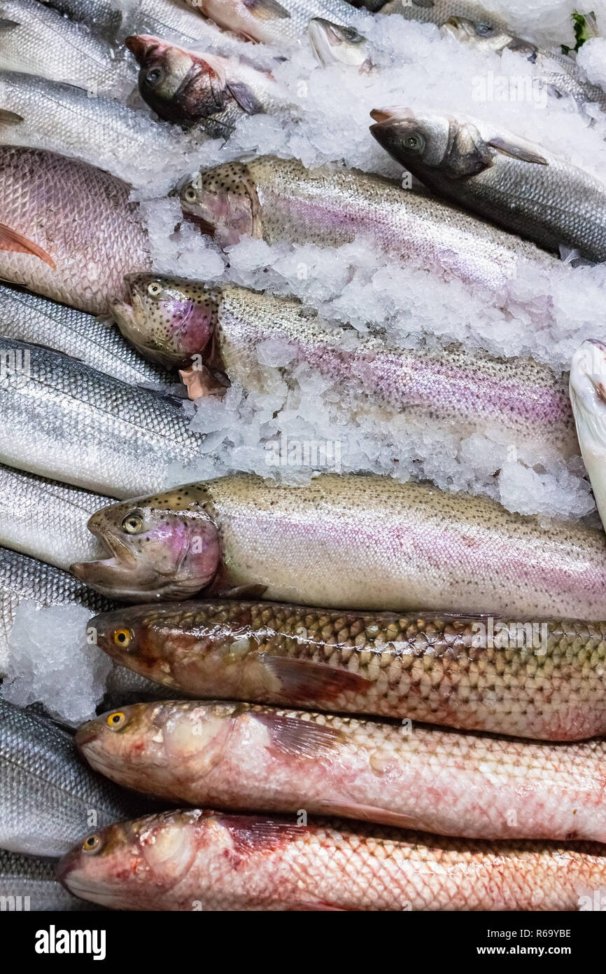 fresh russian fish 16 Stock Photo - Alamy