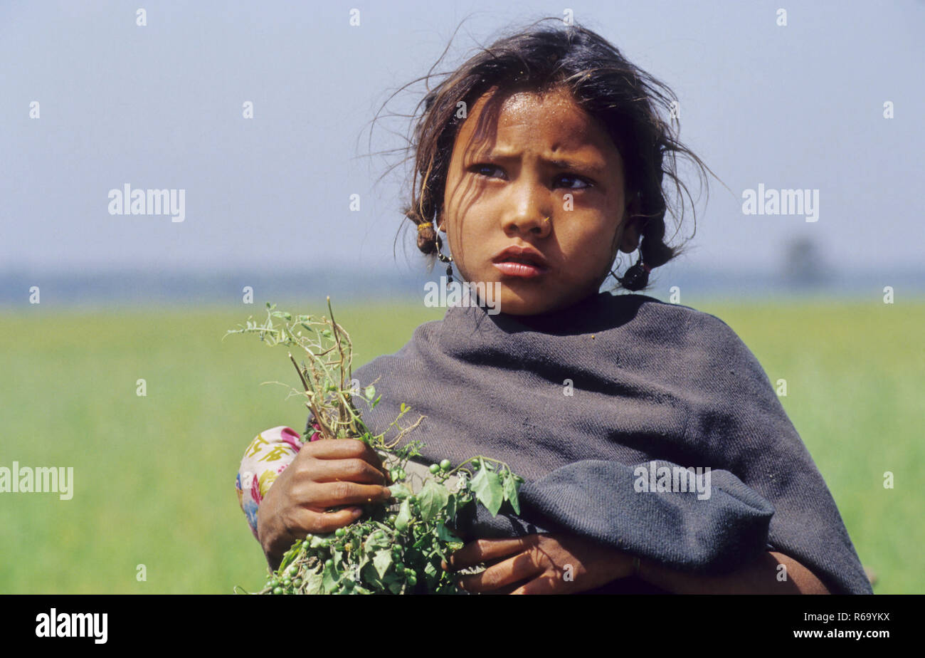 Child labour india girls hi-res stock photography and images - Alamy