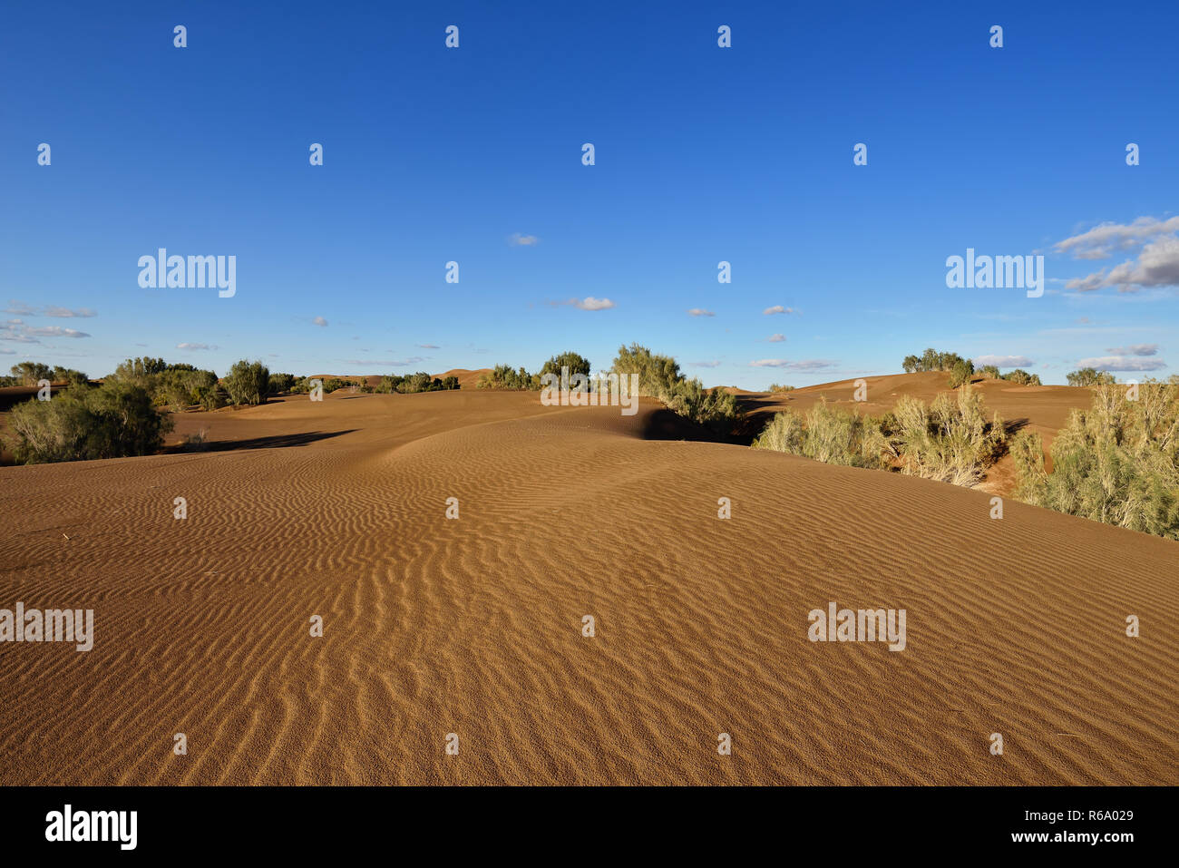 Iran, Orange sand dunes by the Mesr oasis on the Dasht-e Kavir desert ...