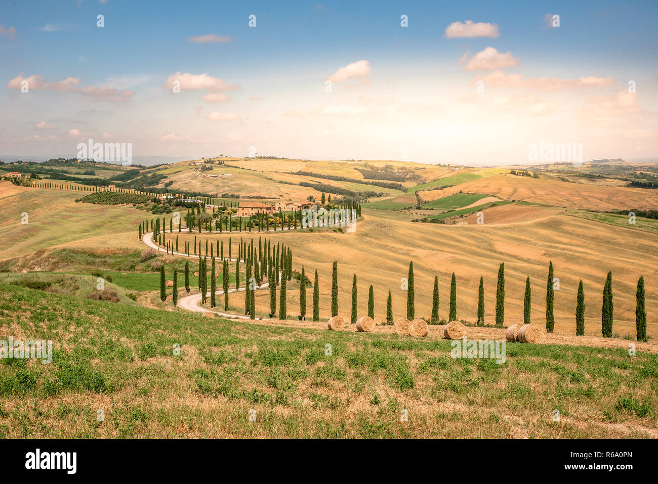 Landscape scenery of Tuscany in Italy, with cypresses trees and green ...