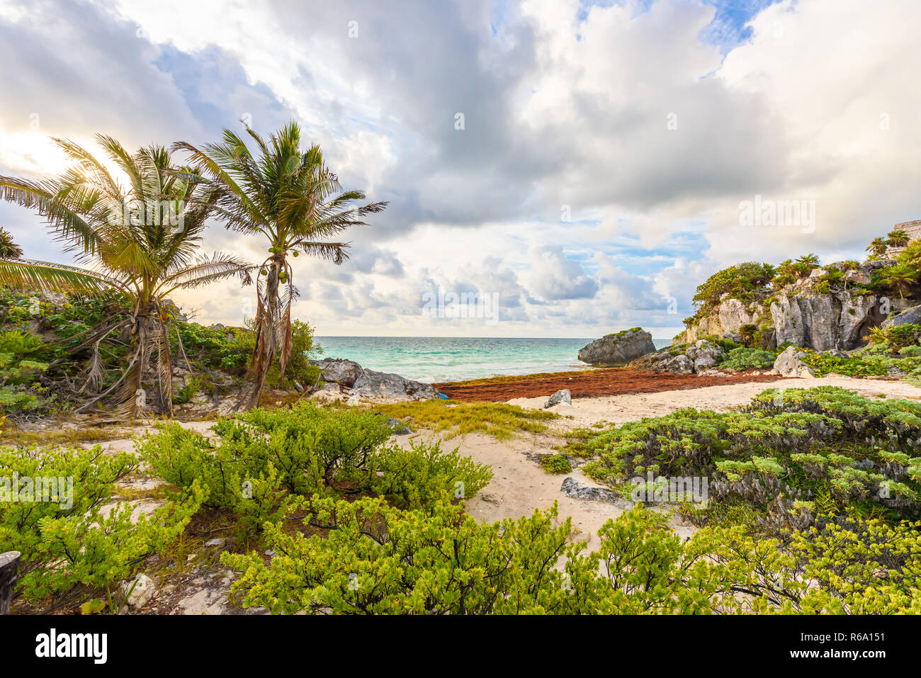 Paradise Scenery of Tulum at tropical coast and beach. Mayan ruins of ...