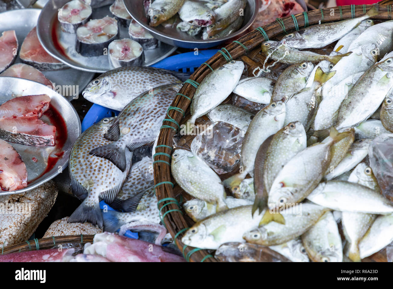 Shark market indonesia hi-res stock photography and images - Alamy