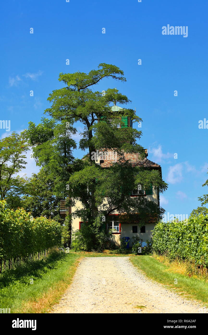 Reichenau insel hi-res stock photography and images - Alamy