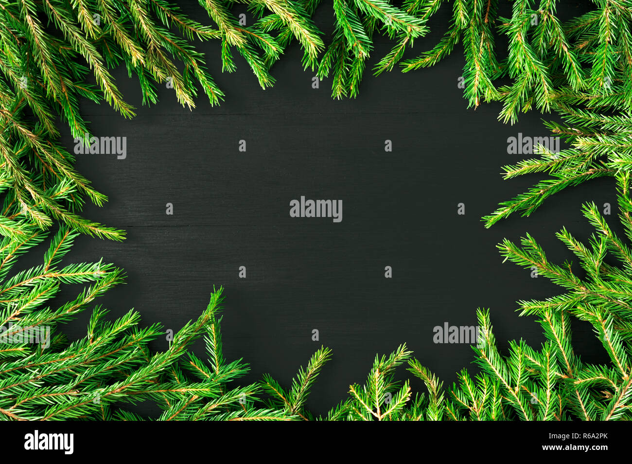 Christmas round frame of winter tree branches on white background ...