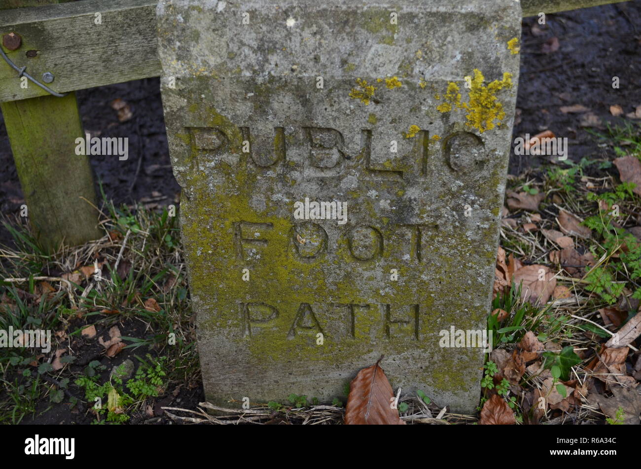 Zoomed in stone hi-res stock photography and images - Alamy
