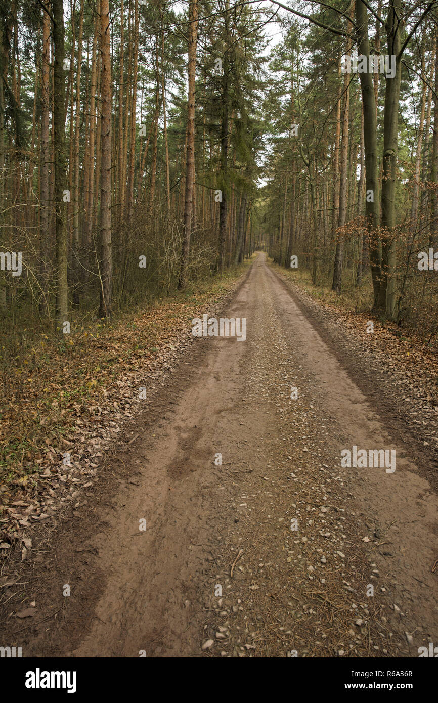 Straight brown gravel road hi-res stock photography and images - Alamy