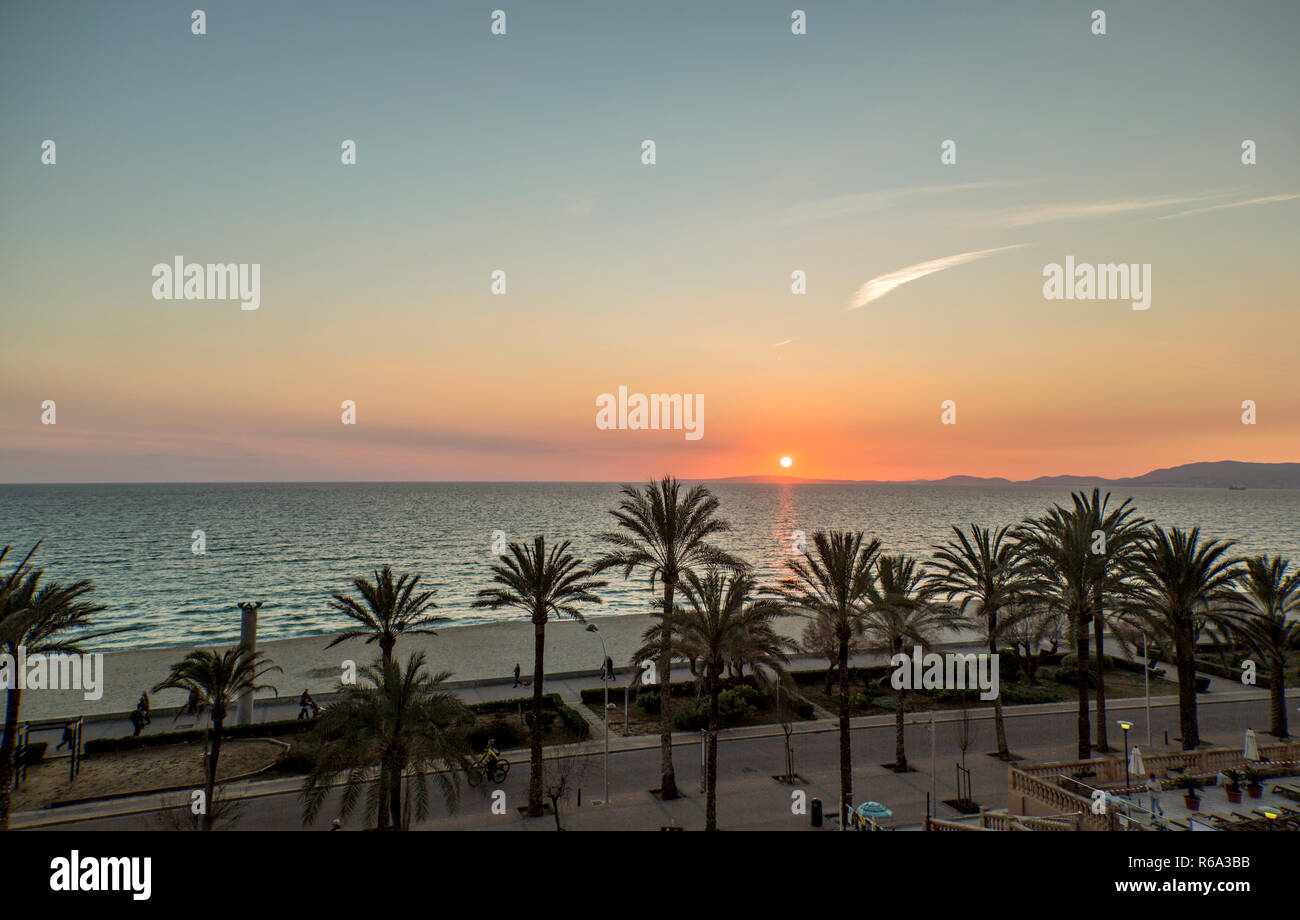 Palma de mallorca promenade hi-res stock photography and images - Alamy