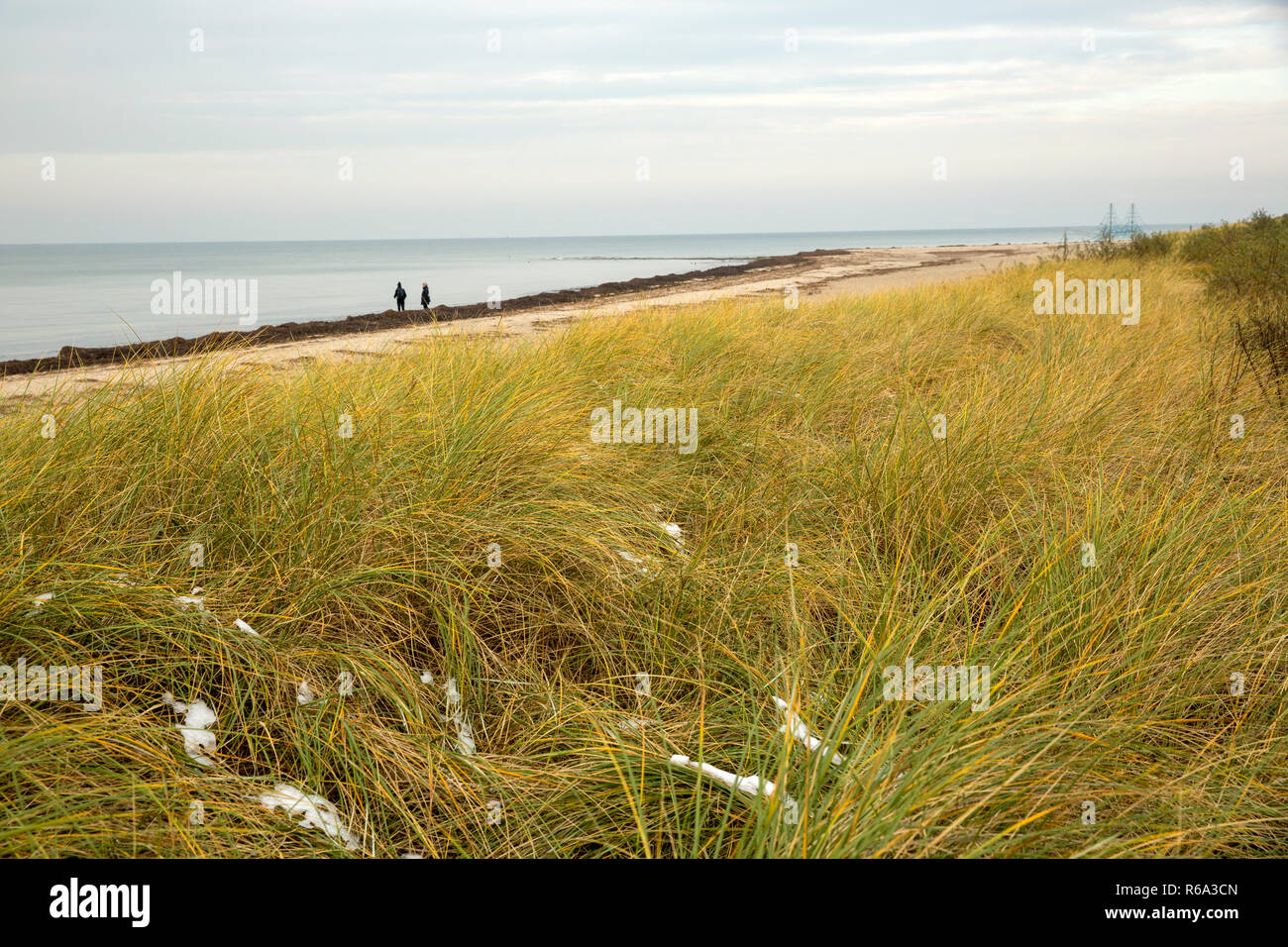 Alluvial island hi-res stock photography and images - Alamy