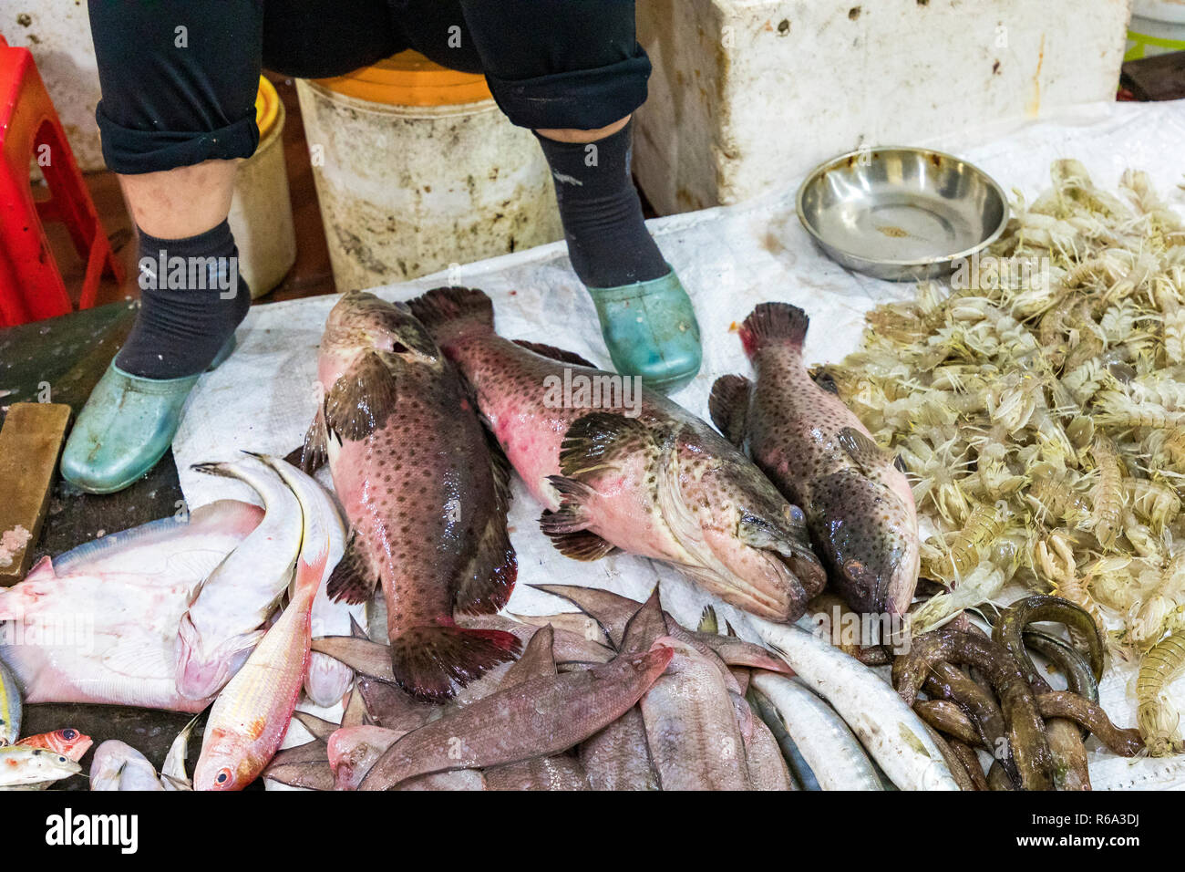 Street Vendor in Cat Ba Island, Vietnam traditional fish market people ...
