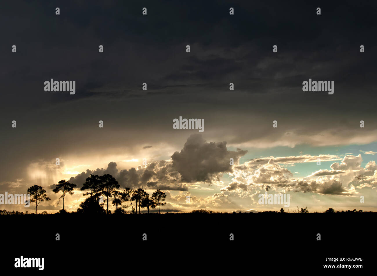 Everglades storm hi-res stock photography and images - Alamy