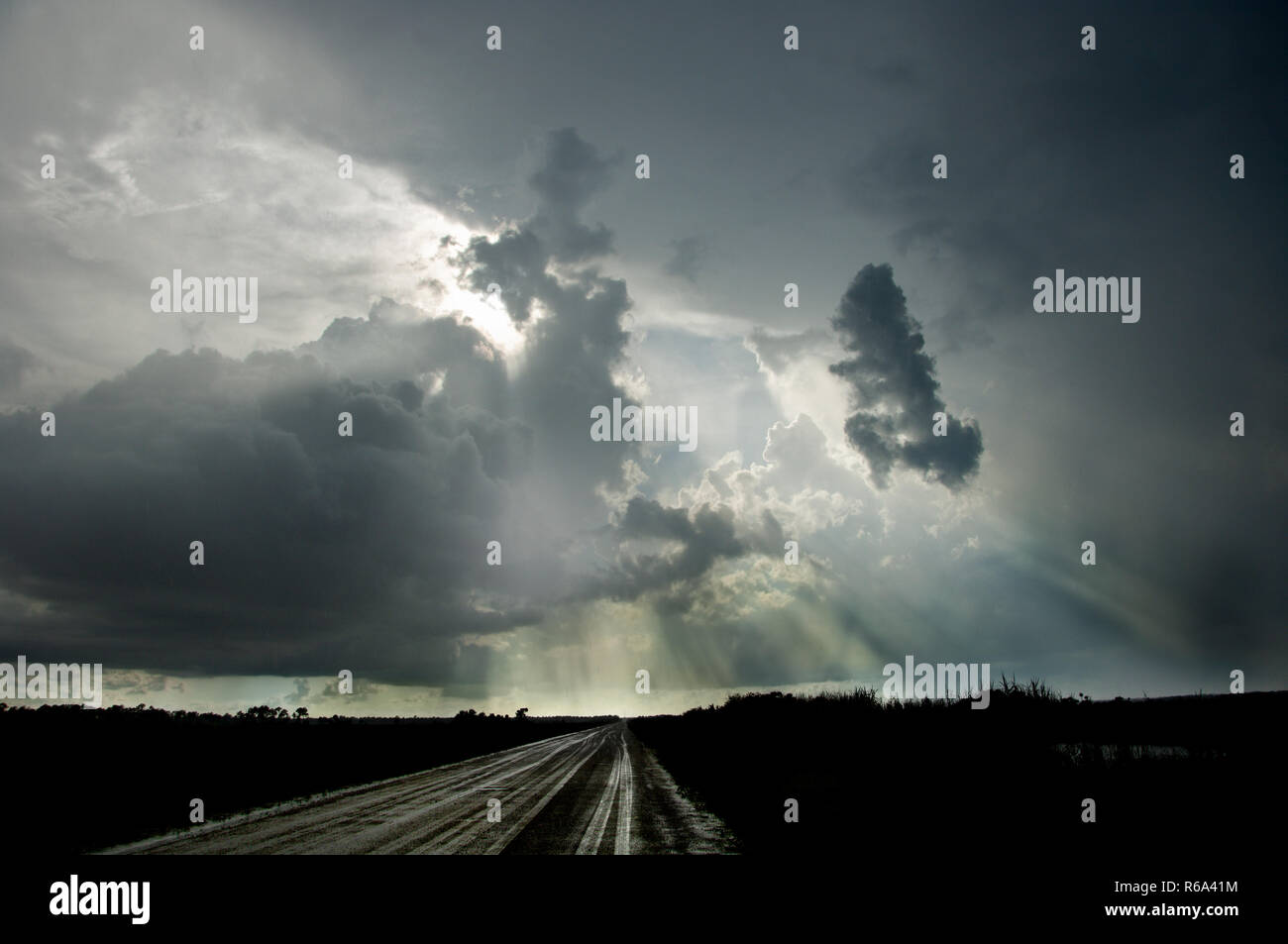 Dark thunder clouds and dramatic storms fill the sky over the swamp in ...