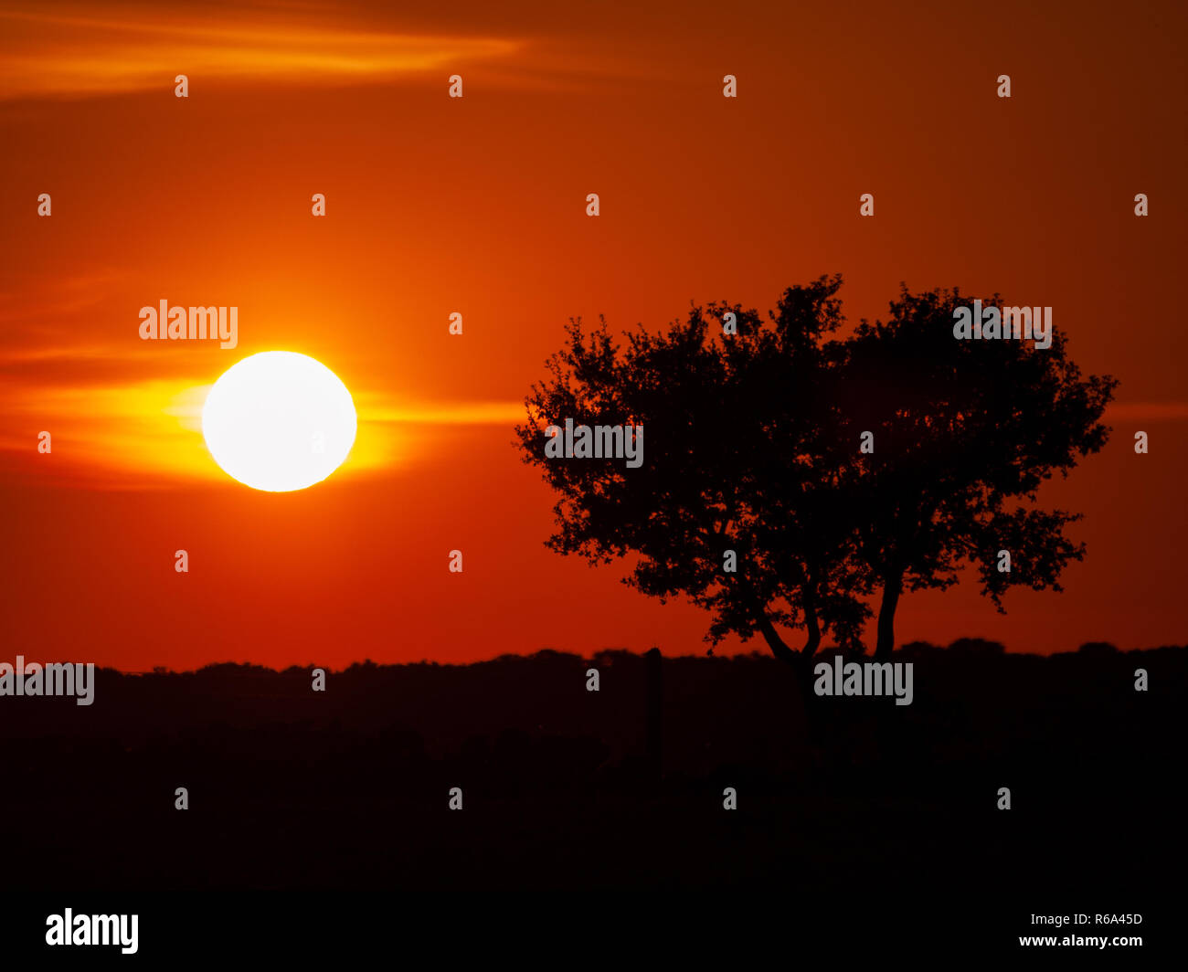 Romantic orange sky at the sunset with few clouds and chemtrails in the ...
