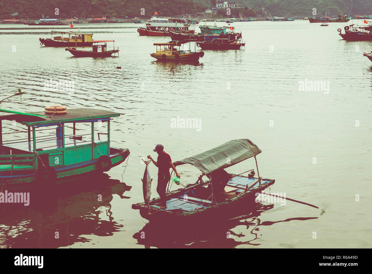 Floating fishing village and fishing boats in Cat Ba Island, Vietnam ...