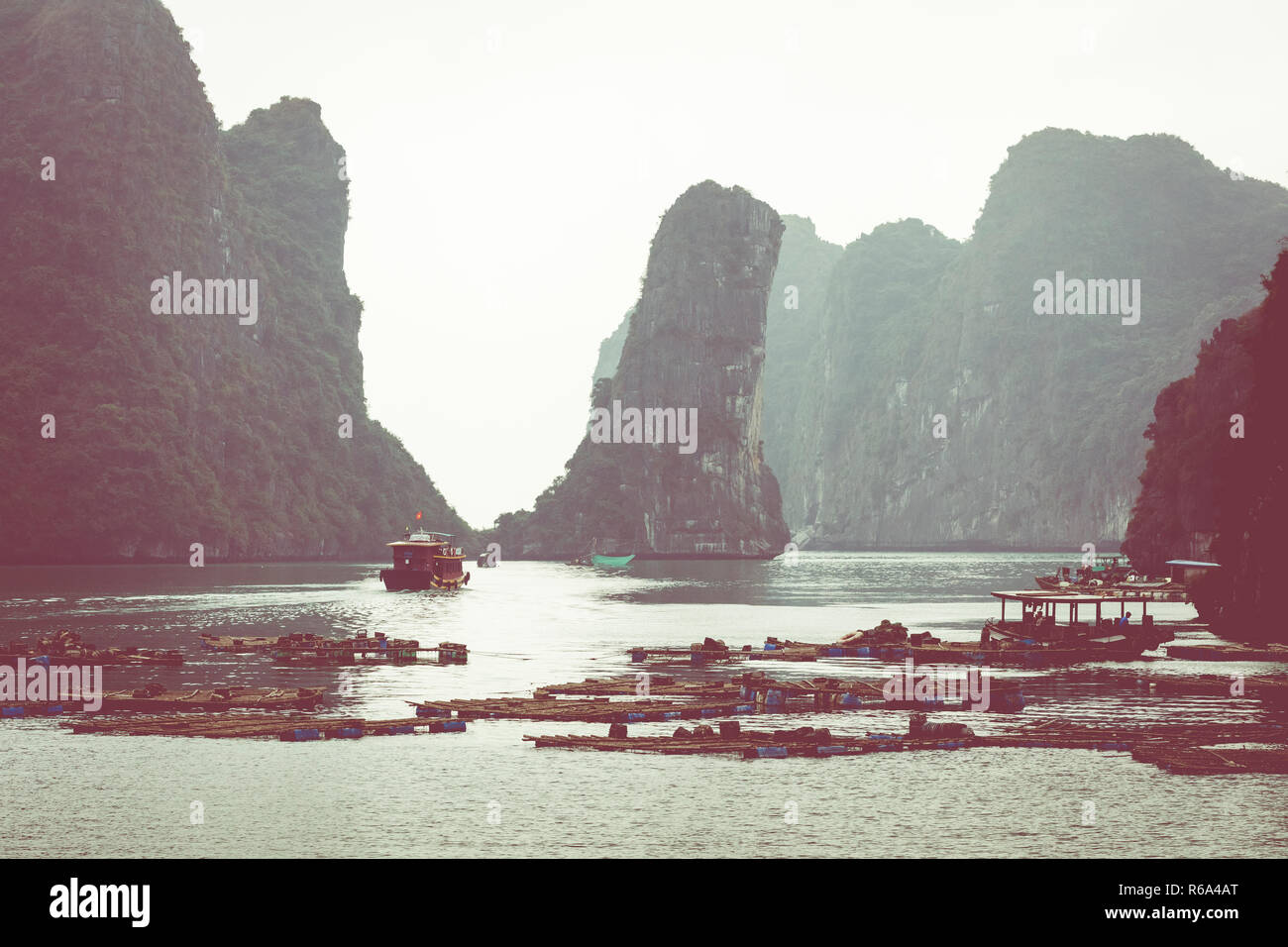 Floating fishing village and fishing boats in Cat Ba Island, Vietnam ...