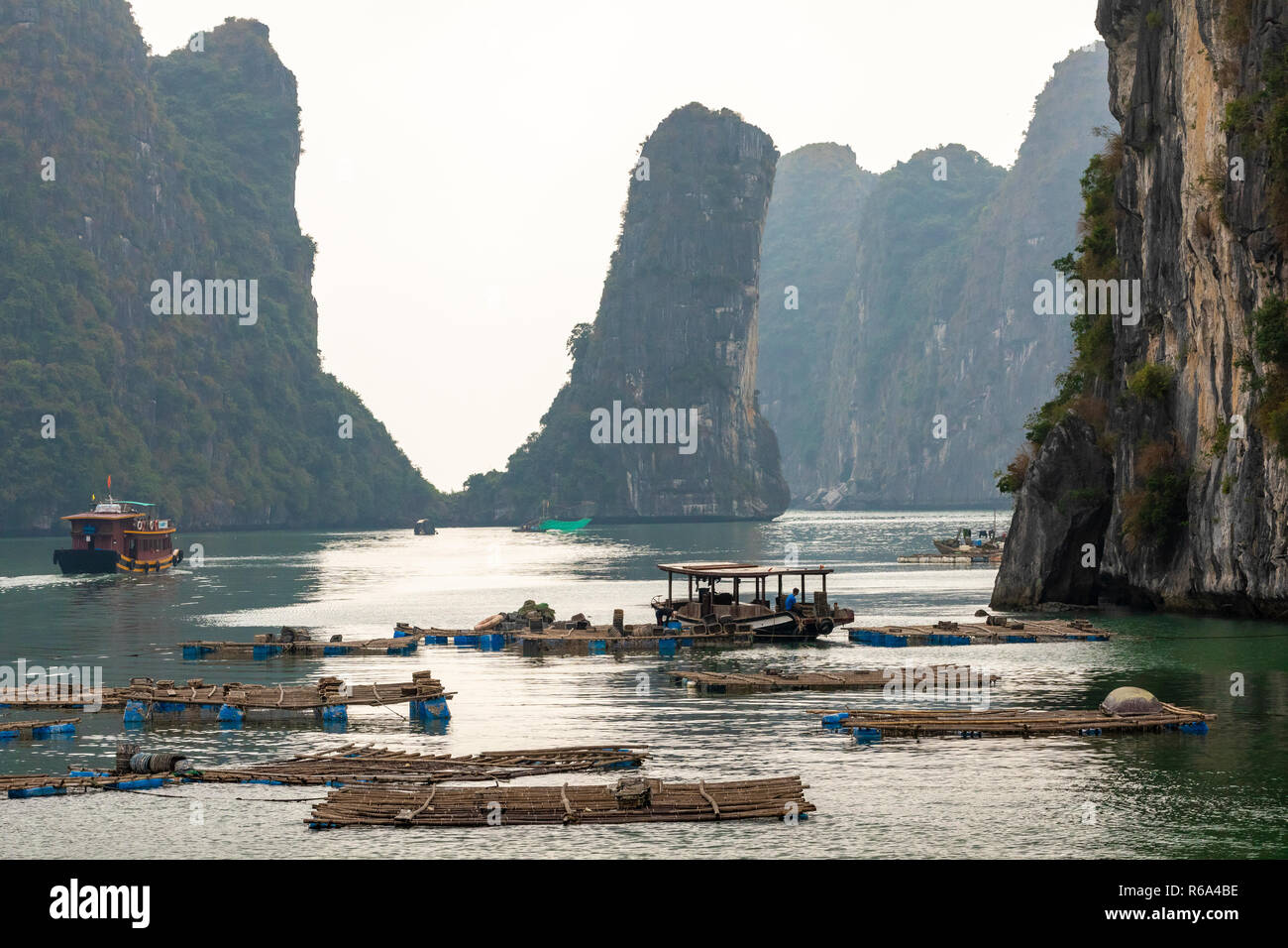 Floating fishing village and fishing boats in Cat Ba Island, Vietnam ...
