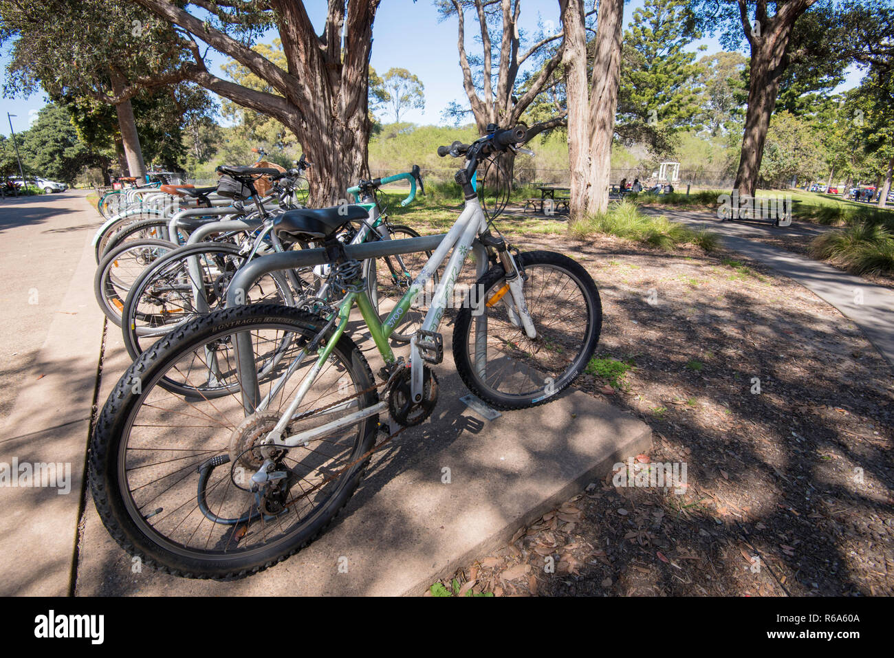 A bicycle parking area in inner Sydney's Centennial Park, a popular ...