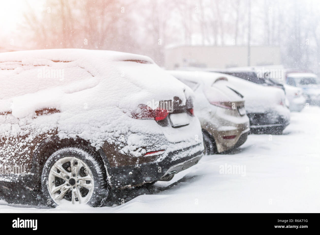 Cars parked in row at outdoor parking in winter. Vehicles covered by ...