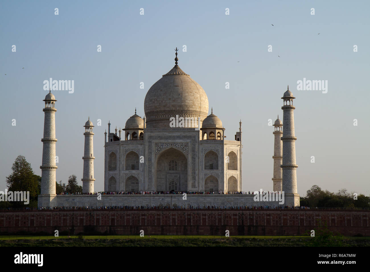 the world famous Taj Mahal in agra in india Stock Photo - Alamy