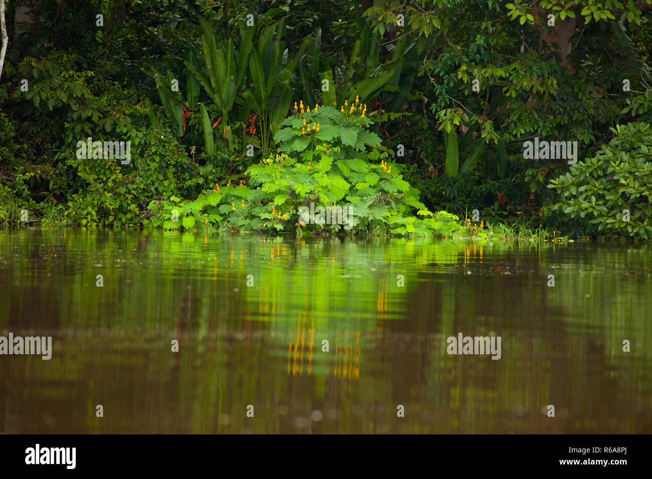Traditional amazon riverboat hi-res stock photography and images - Alamy