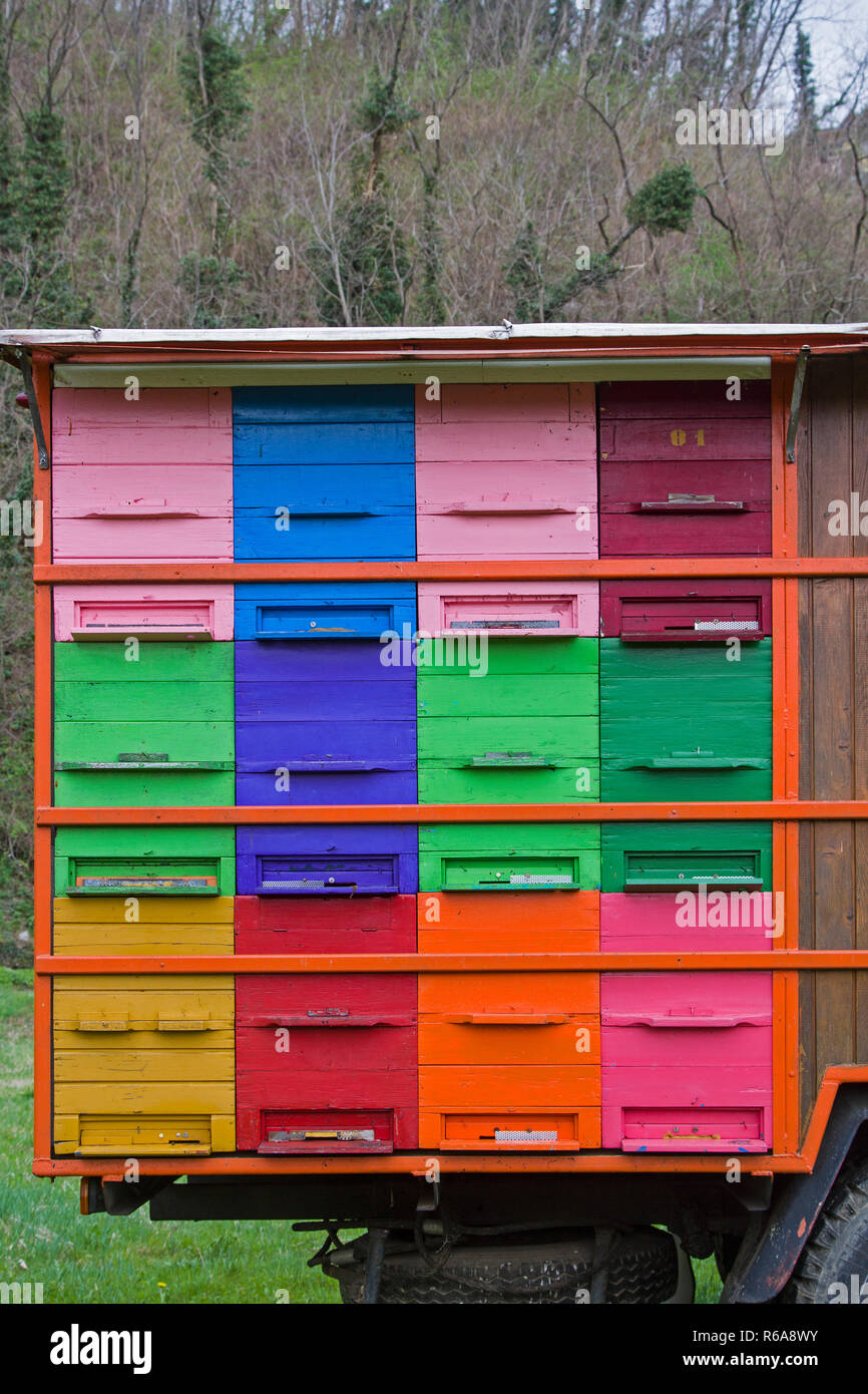 Many Bees Live In These Colorful Beehives Stock Photo - Alamy