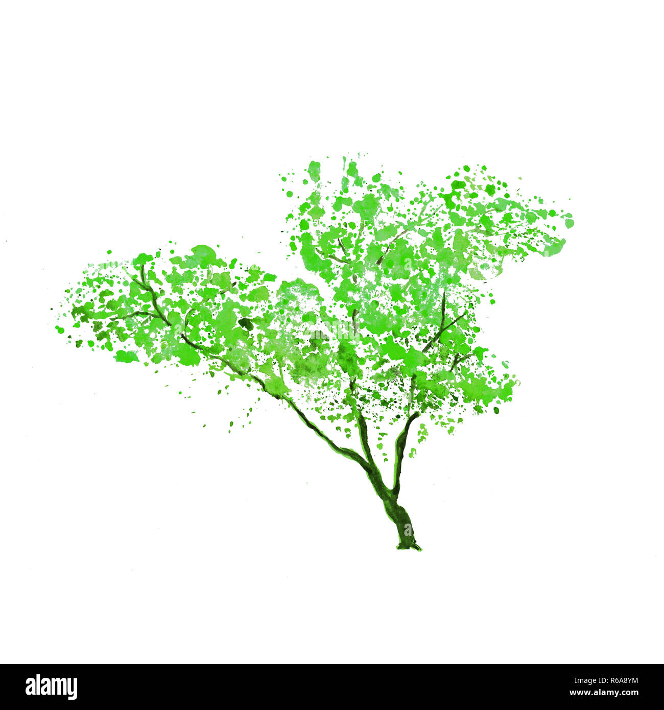 Green tree silhouette, handdrawn watercolor splashes, isolated on white ...