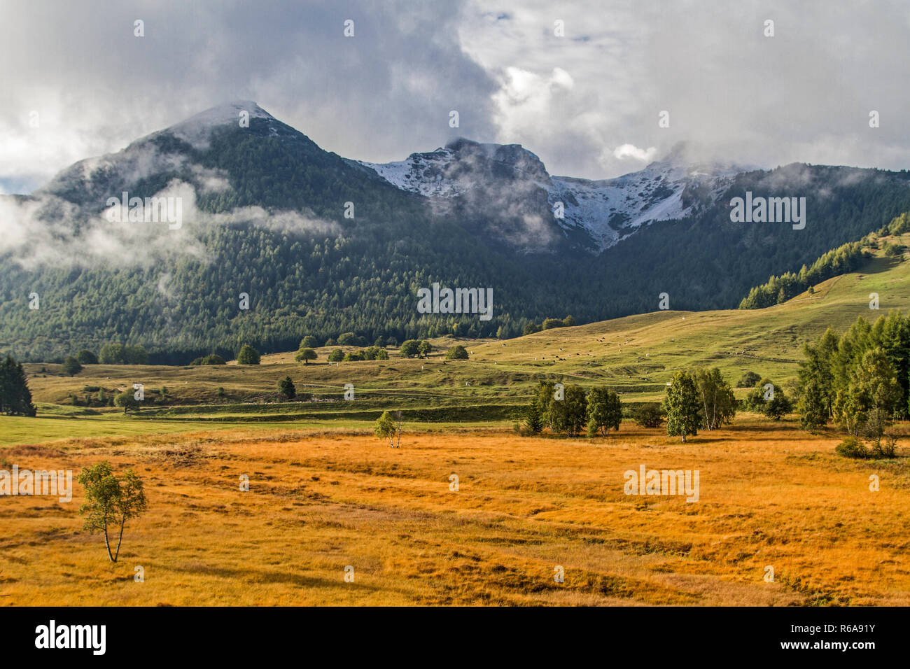 High Moor On Monte Bondone Stock Photo - Alamy