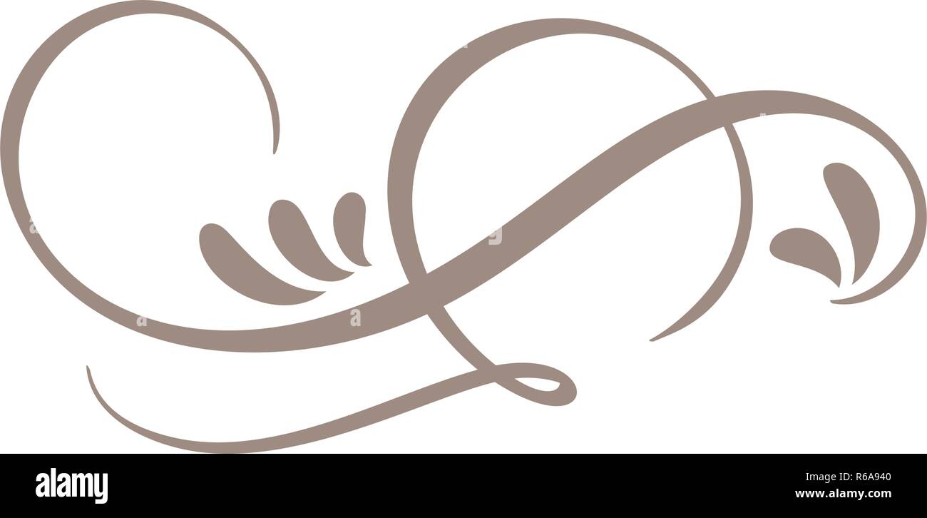 Hand Drawn Calligraphic Floral Spring Flourish Design Elements in style ...