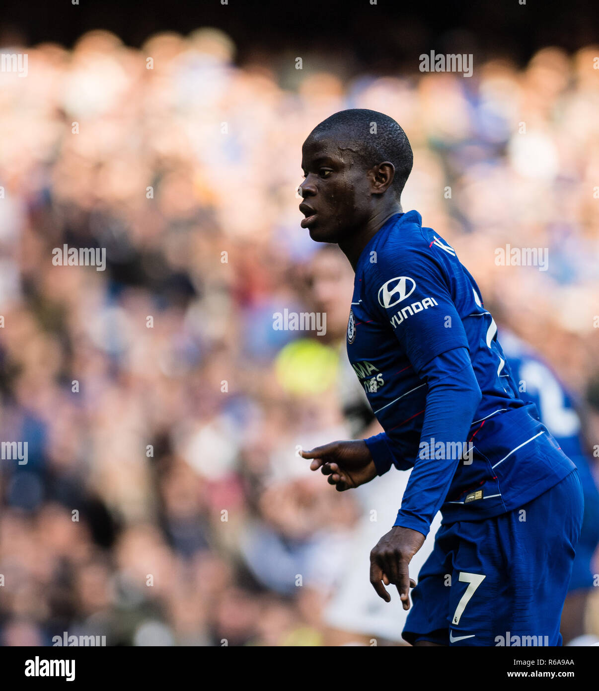 LONDON, ENGLAND - DECEMBER 02: N'Golo Kanté during the Premier League ...