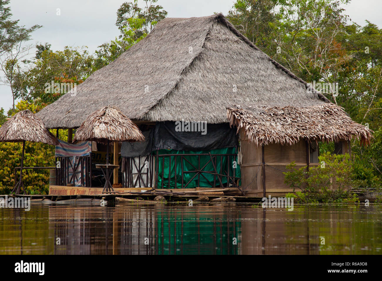 Peruvian Amazon bar Stock Photo - Alamy