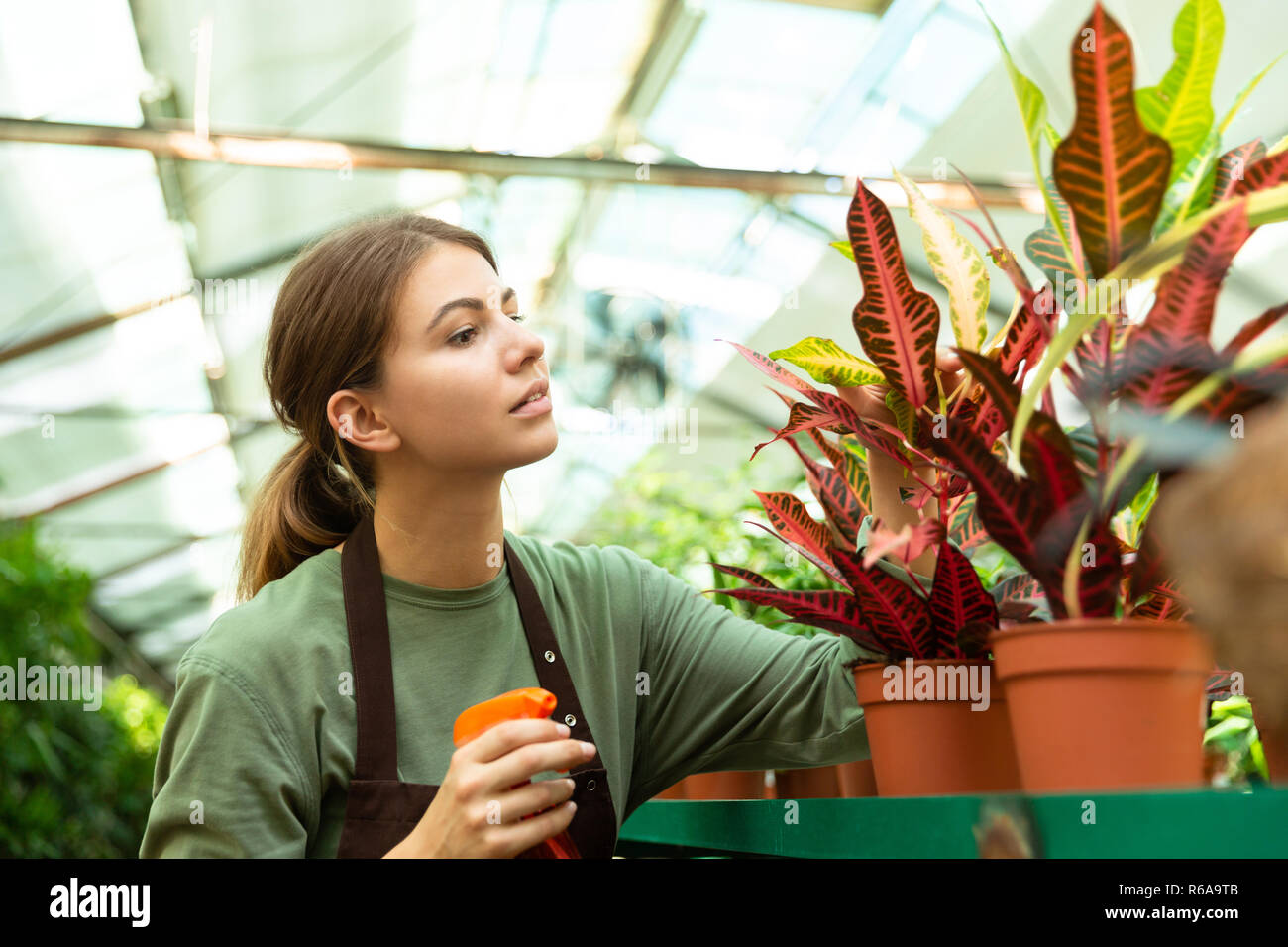 Image of beautiful woman gardener standing over plants in greenhouse ...