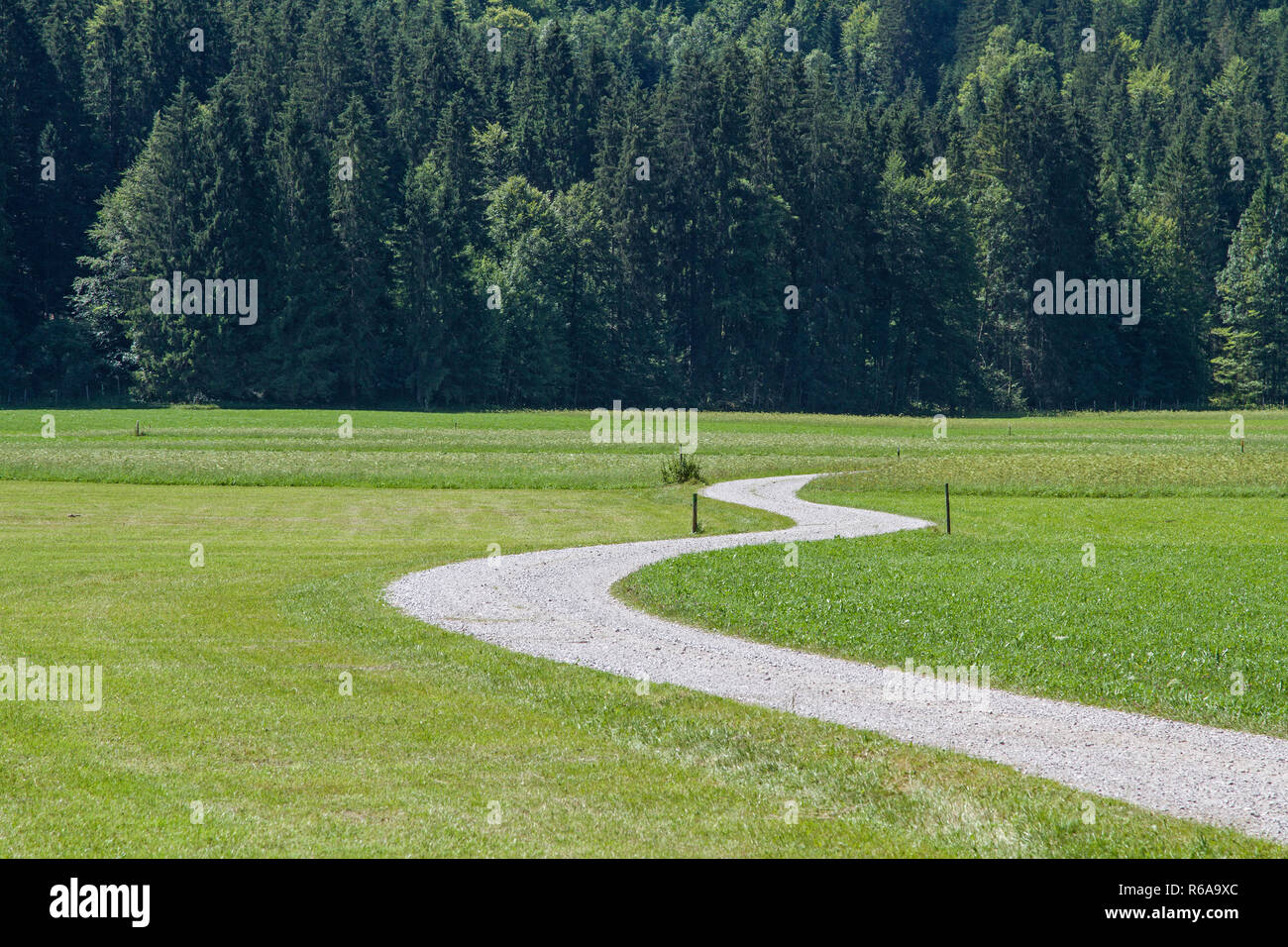 Cart Path In The Graswang Valley Stock Photo - Alamy