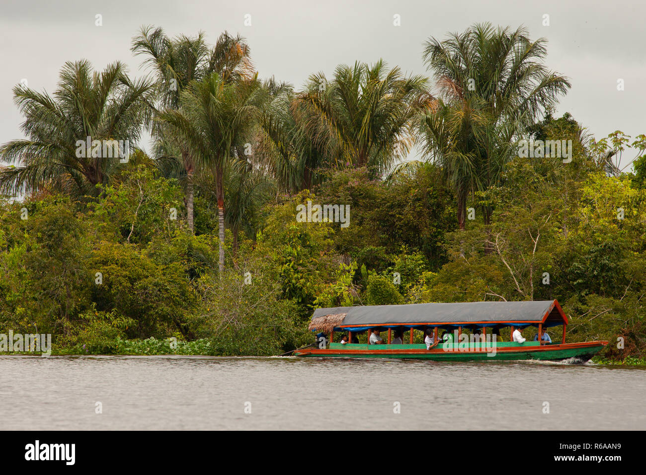 Amazon scene hi-res stock photography and images - Alamy