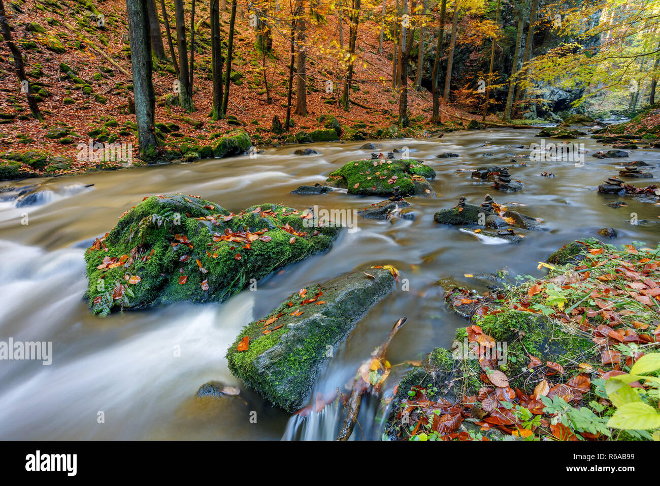 Wild river doubrava autumn fall hi-res stock photography and images - Alamy