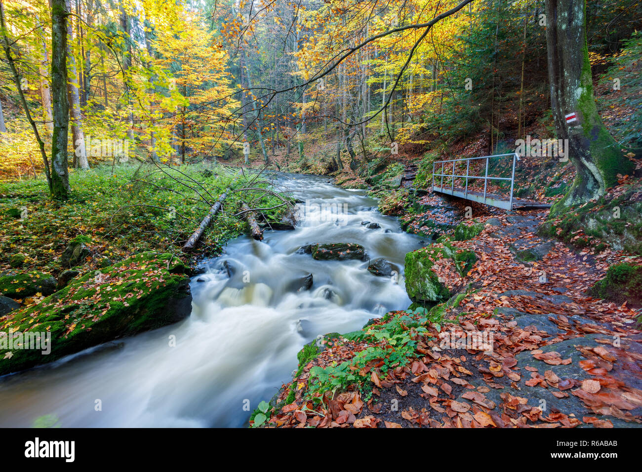 Wild river doubrava autumn fall hi-res stock photography and images - Alamy
