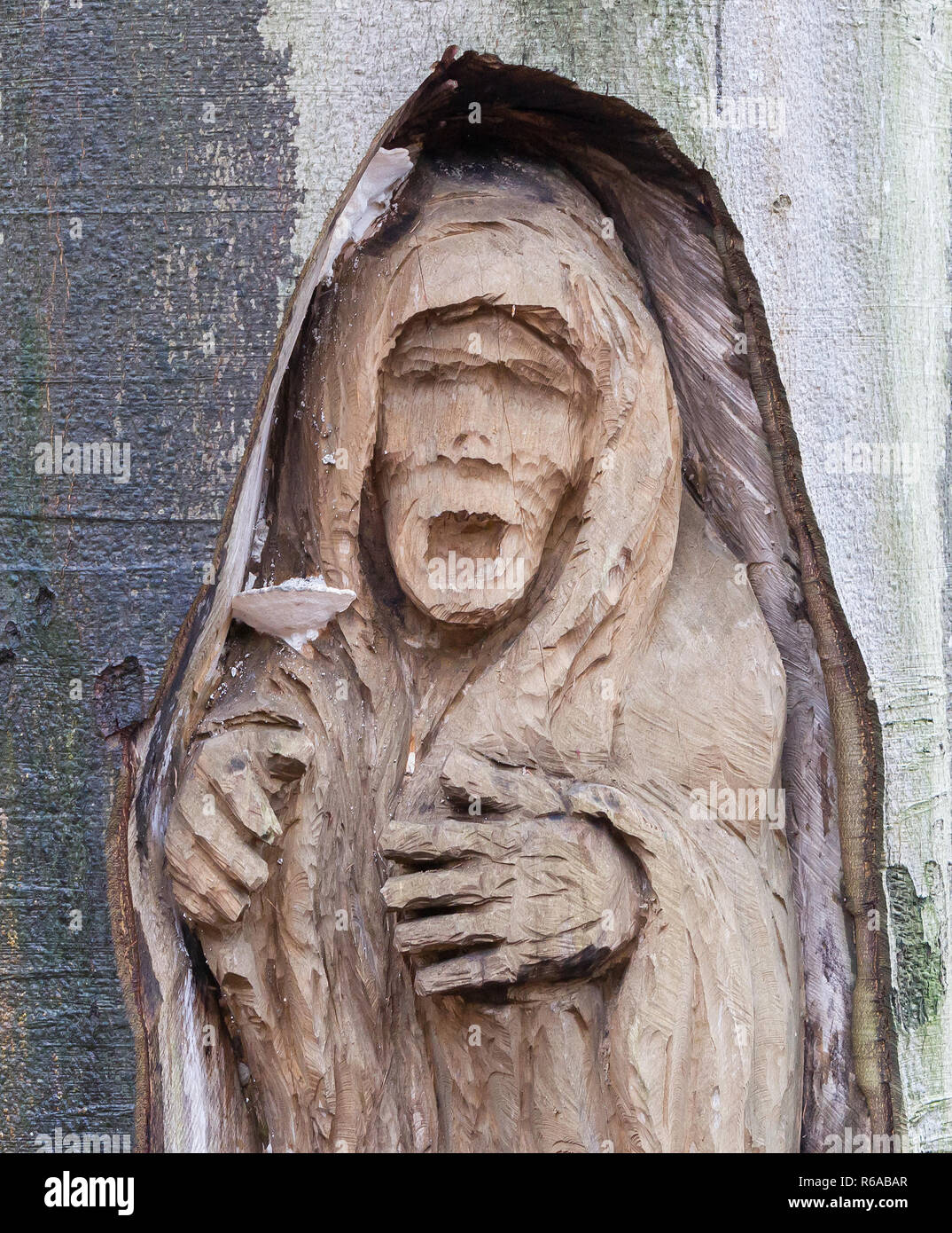 Scary face in a tree hi-res stock photography and images - Alamy