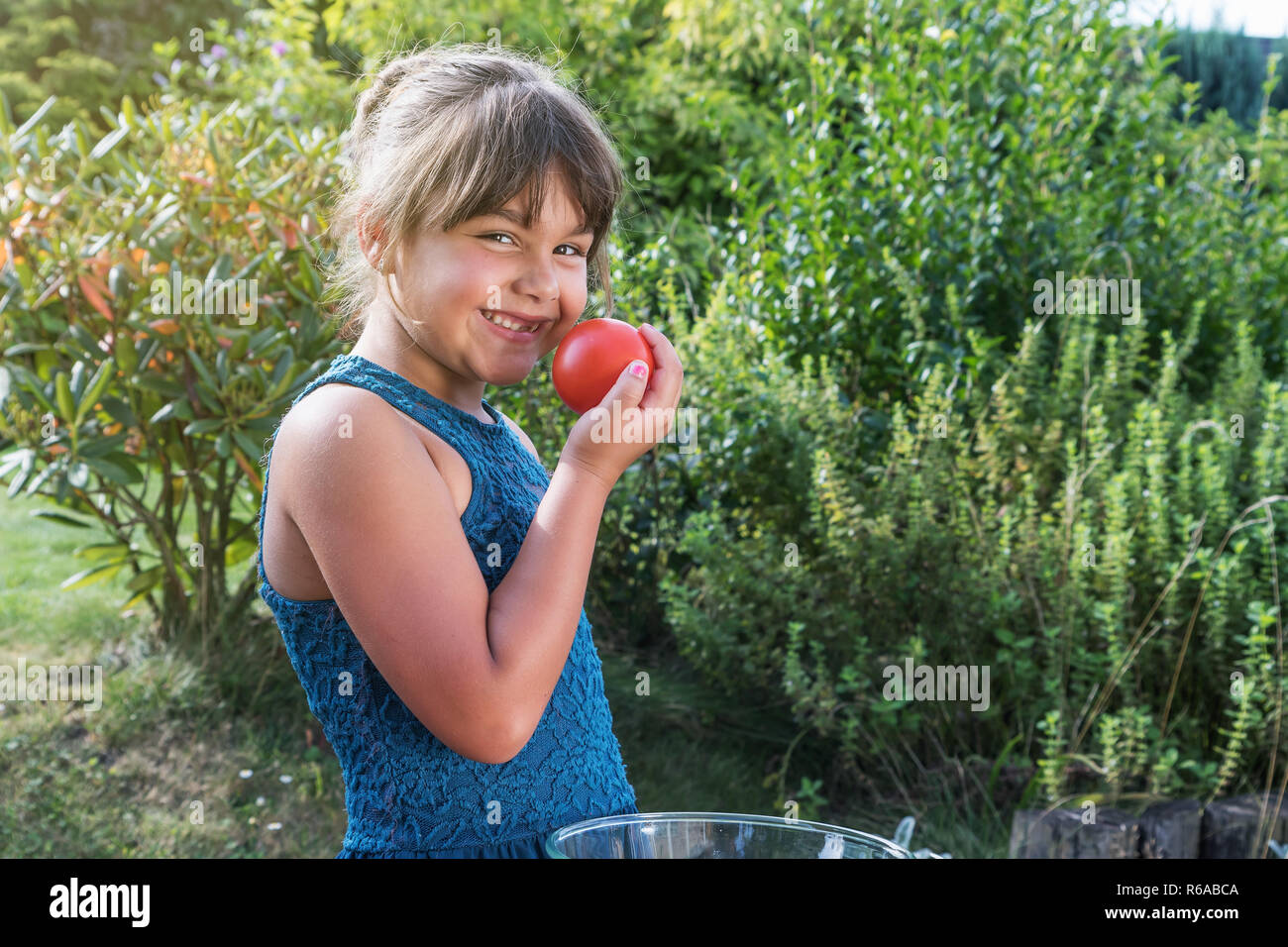 Side view of laughing little girl tasting fresh tomato Stock Photo - Alamy