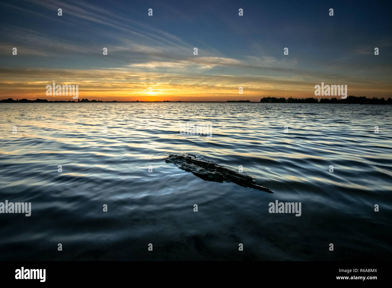 Sunset along the edge lakes of Flevoland. Floating piece of driftwood ...