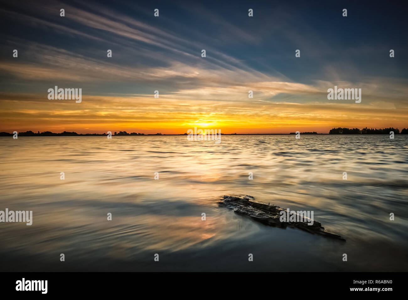 Sunset along the edge lakes of Flevoland. Floating piece of driftwood ...