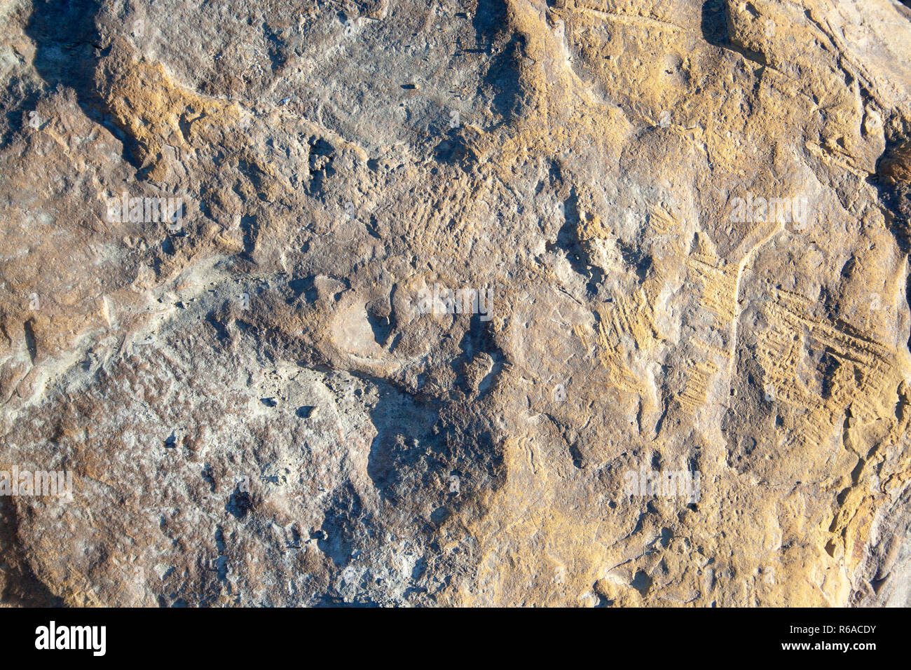 Stone texture close-up. Old aged stone surface on sun background Stock ...