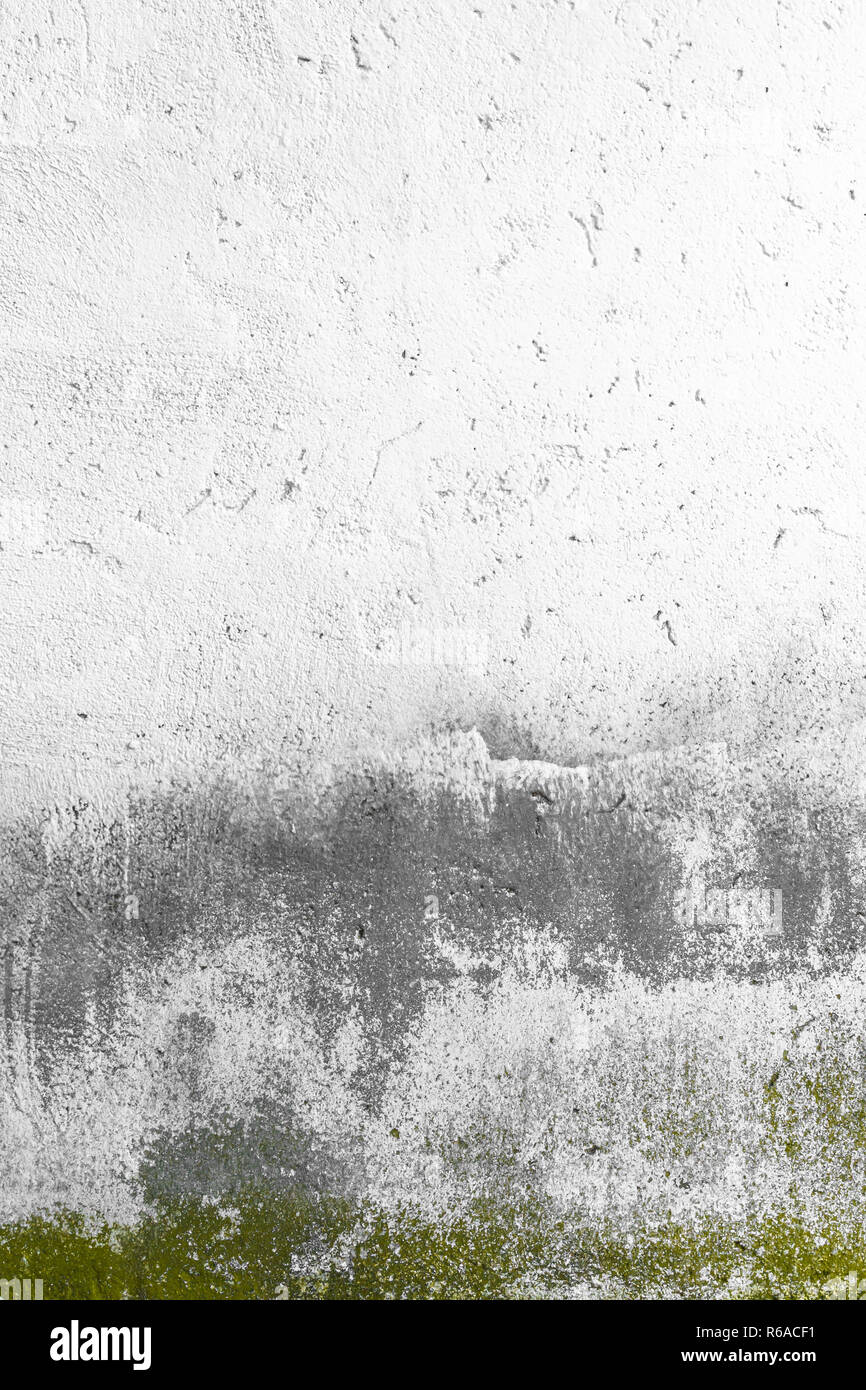 Dirty wall with mold Stock Photo - Alamy